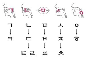 Mastering the Intricacies of Hangul: Understanding Korean Consonants ...